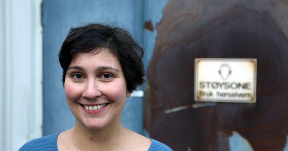 Arkitektglede i Trondheim - Arkitektur