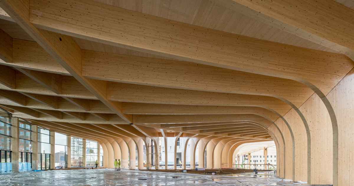 I toppen av et tre - Arkitektur