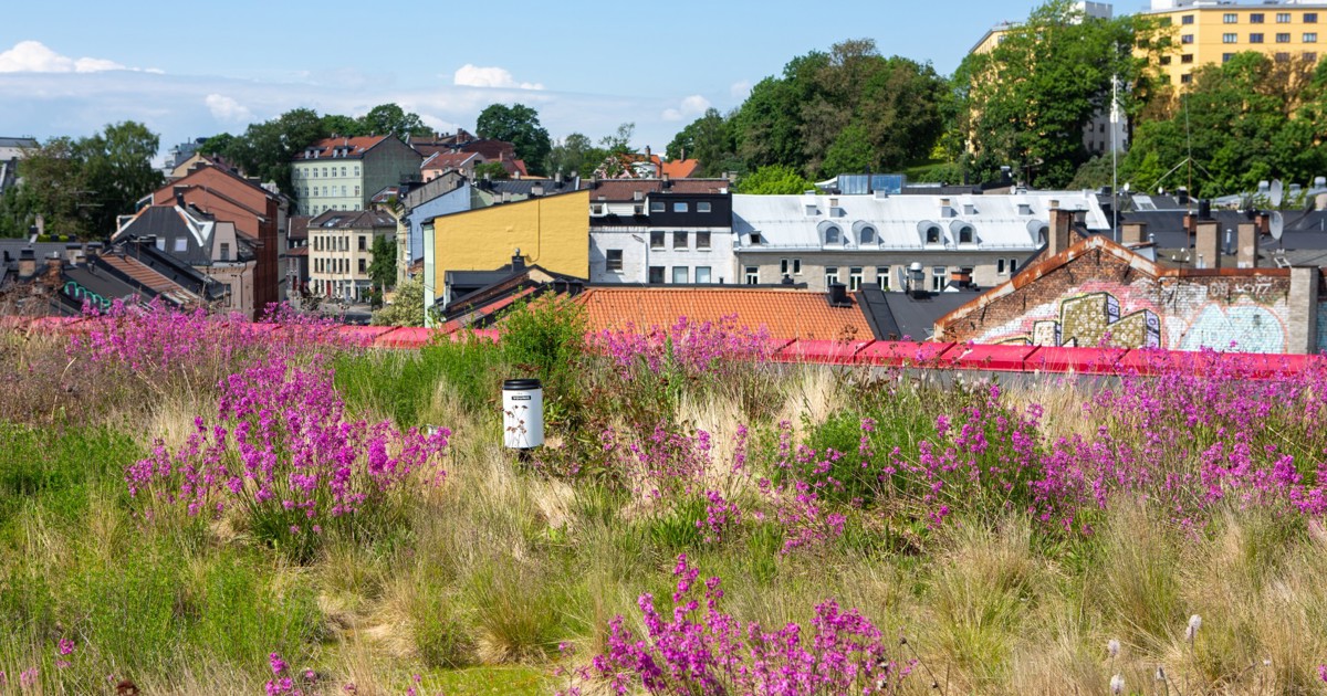 En ny type infrastruktur - Arkitektur