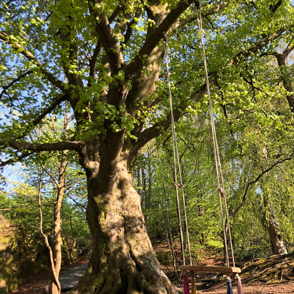 Lyreneset friområde - Arkitektur