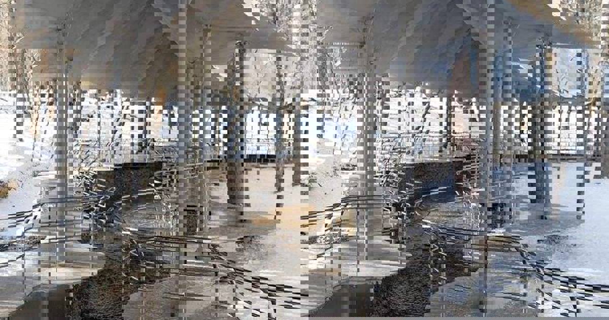 A footpath and a canopy - Arkitektur