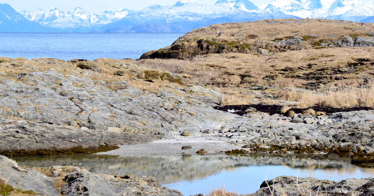 Holmer setter kommuner i skvis - Arkitektur