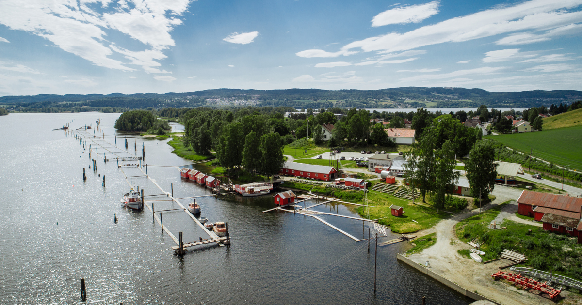 Hever parallelloppdrag-honorar etter påtrykk - Arkitektur