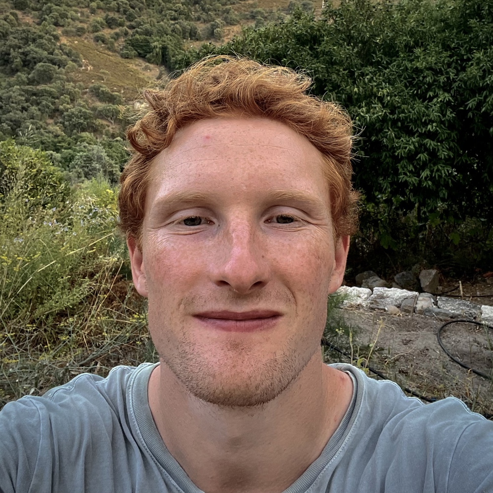 Vanskelig bynatur - Arkitektur