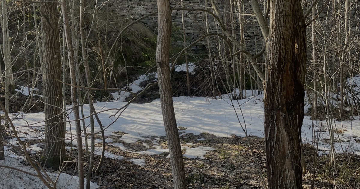 Naturtap: Skog eller trygghet på nye Mortensrud? - Arkitektur
