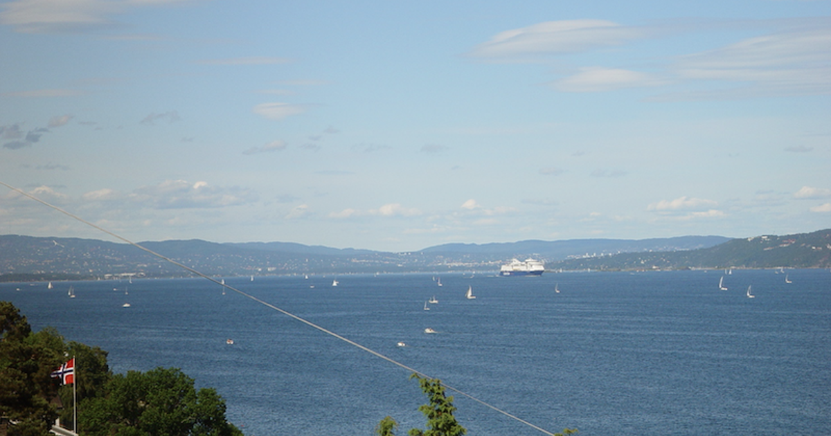 Vern ålegraset! Indre Oslofjord må avmotoriseres nå, skriver Rainer ...