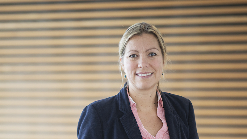 Multiconsult justerer: Samler arkitektselskapene i nytt segment - Arkitektur